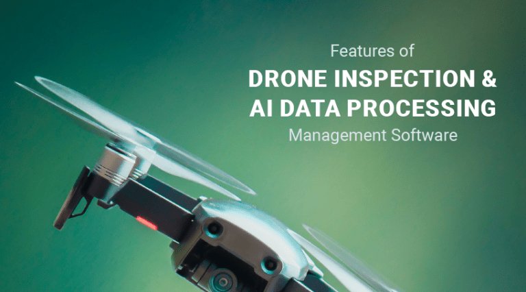 Features of Drone Inspection and AI Data Processing Management