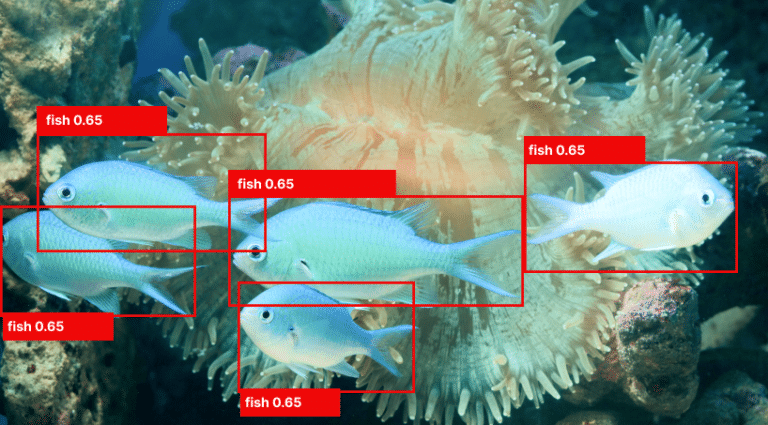 How Does Vision Ai Improve Underwater Object Detection And Classification